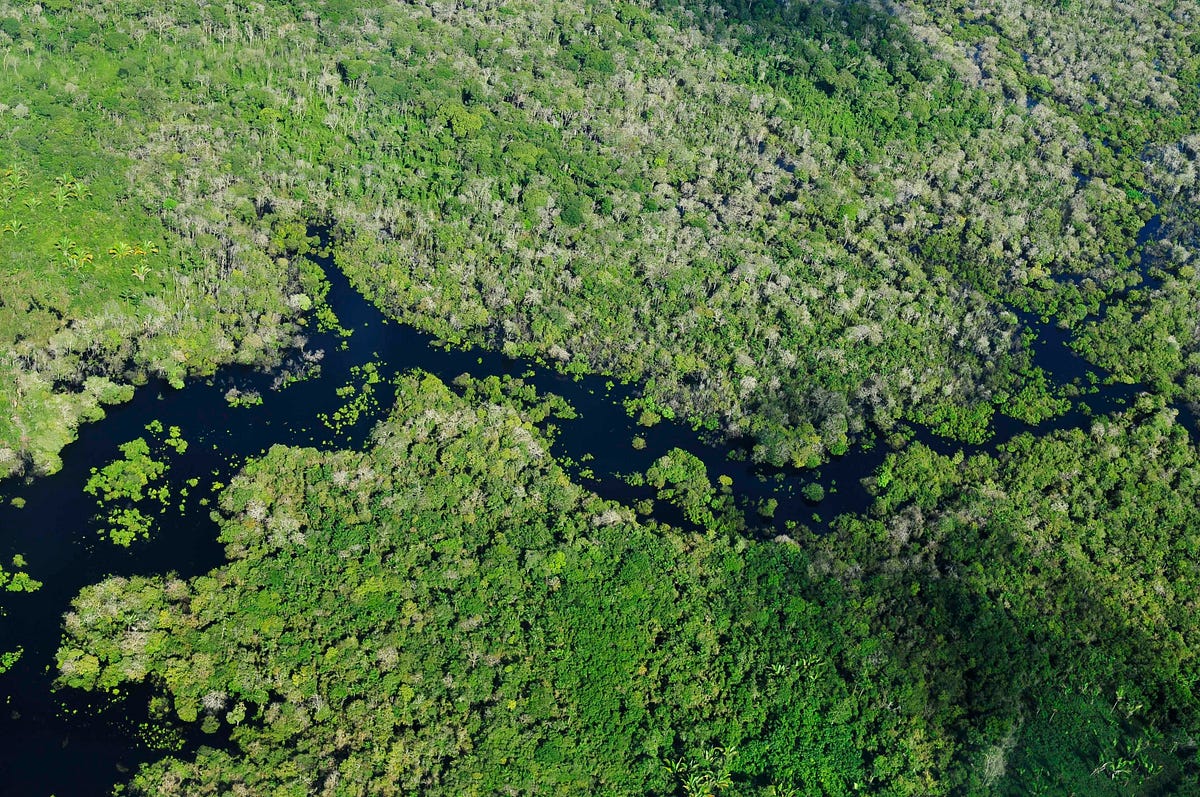 Finding solutions to deforestation at New York Climate Week | by Trase ...