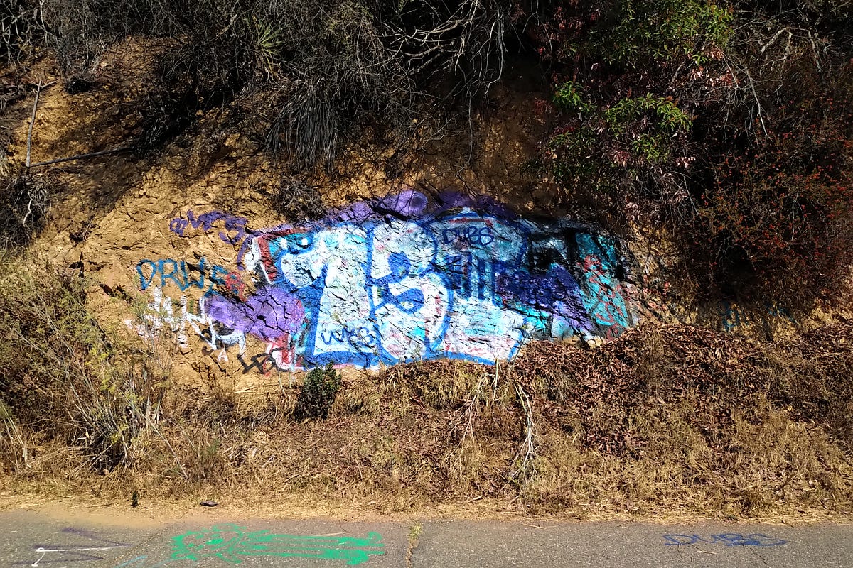 Vandalism against Mother Earth…. The human scream in nature | by Siow ...