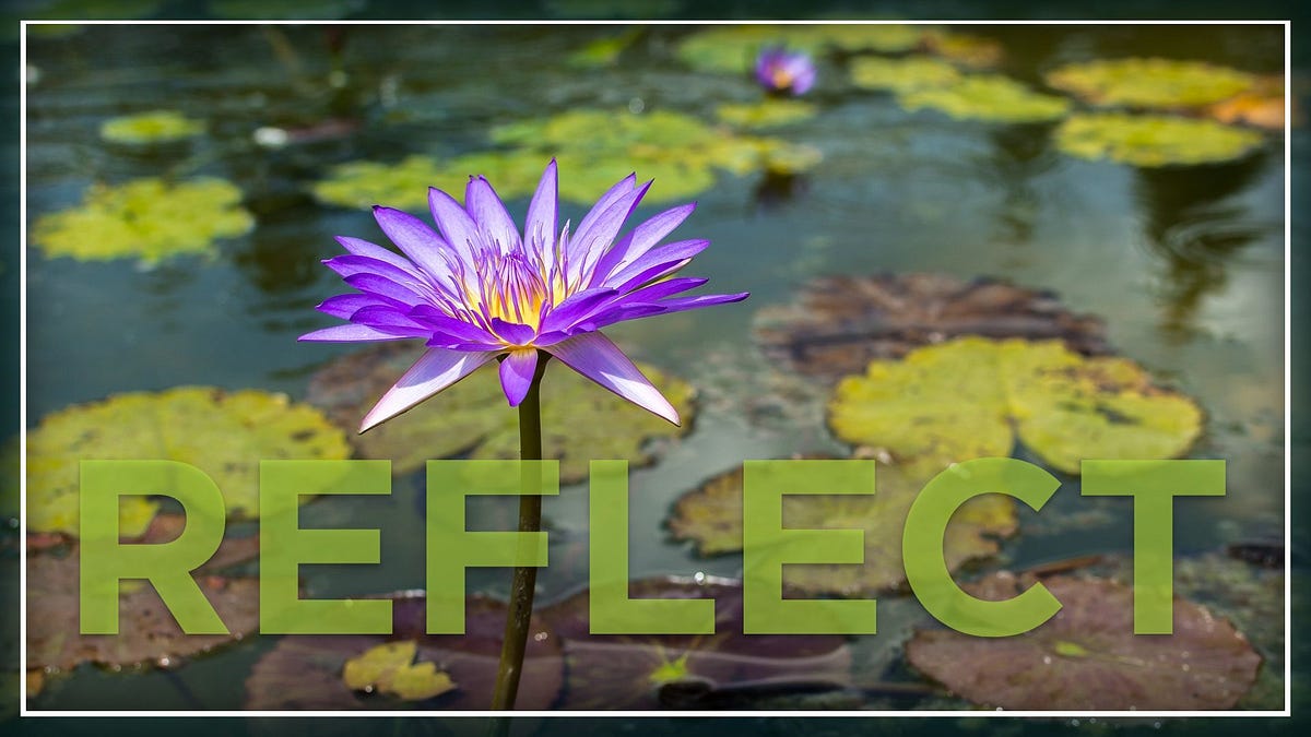 What Story Does Reflection Time Reveal About You? | by Tim Maudlin ...