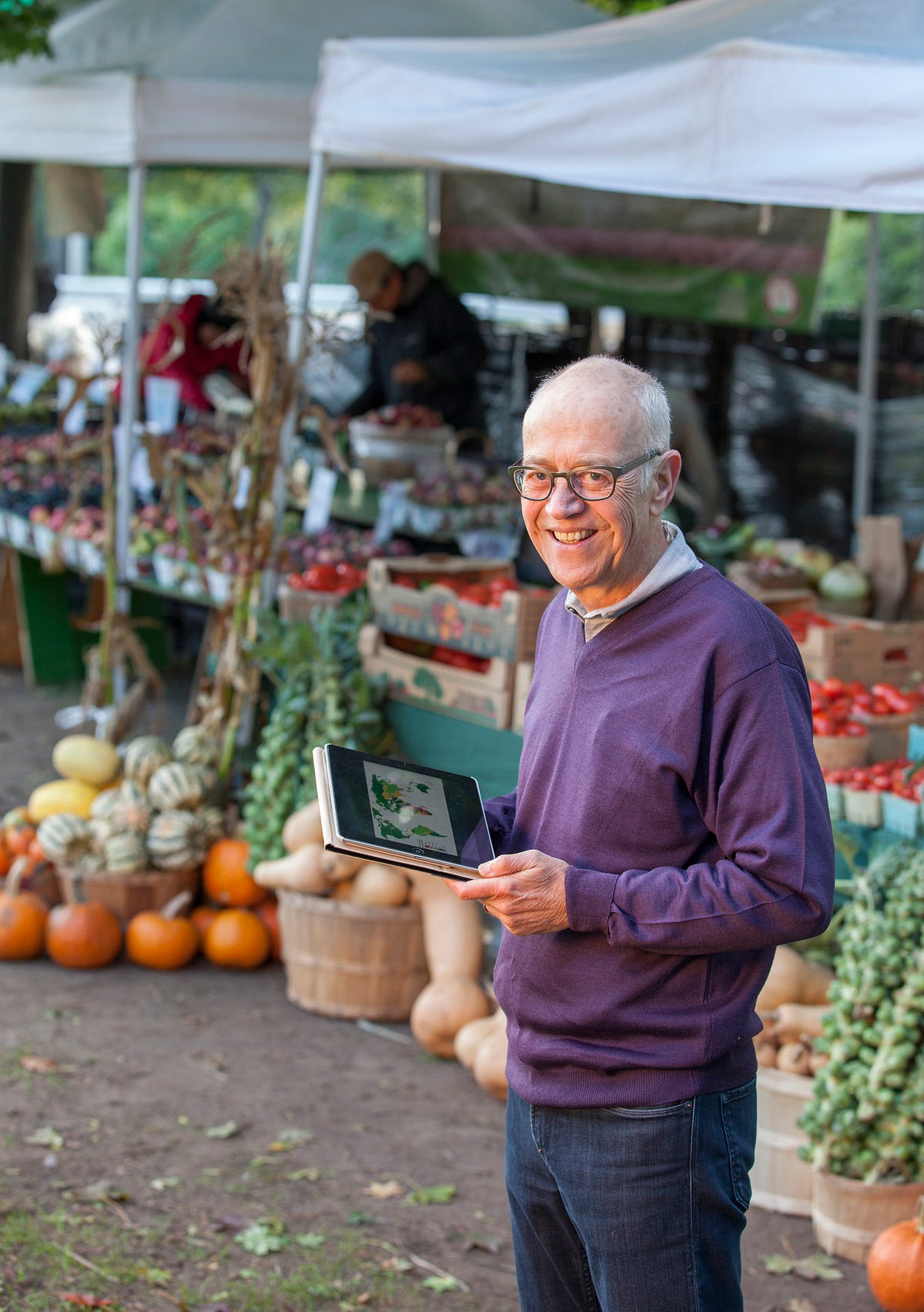 HOW TO GROW A LOCAL FOOD WEB. CAN WE BUILD A LOCAL FOOD WEB TO… | by ...