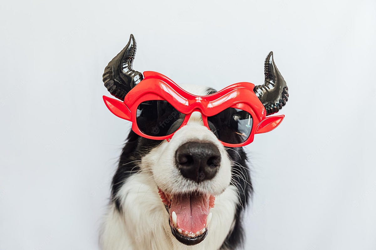7 Reasons Why Puppies are More Dangerous than You Think. | by ... 7 Reasons Why Puppies are More Dangerous than You Think. | by ...