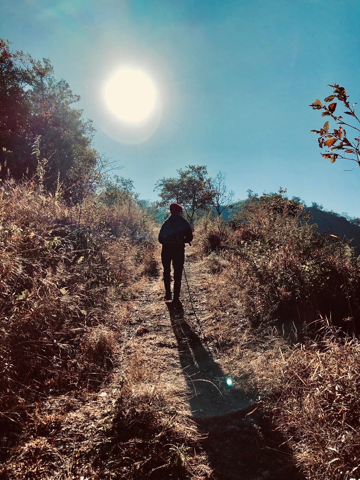 Trekking in Manipur: Shirui Peak. I’m on a windswept hill in… | by The ...