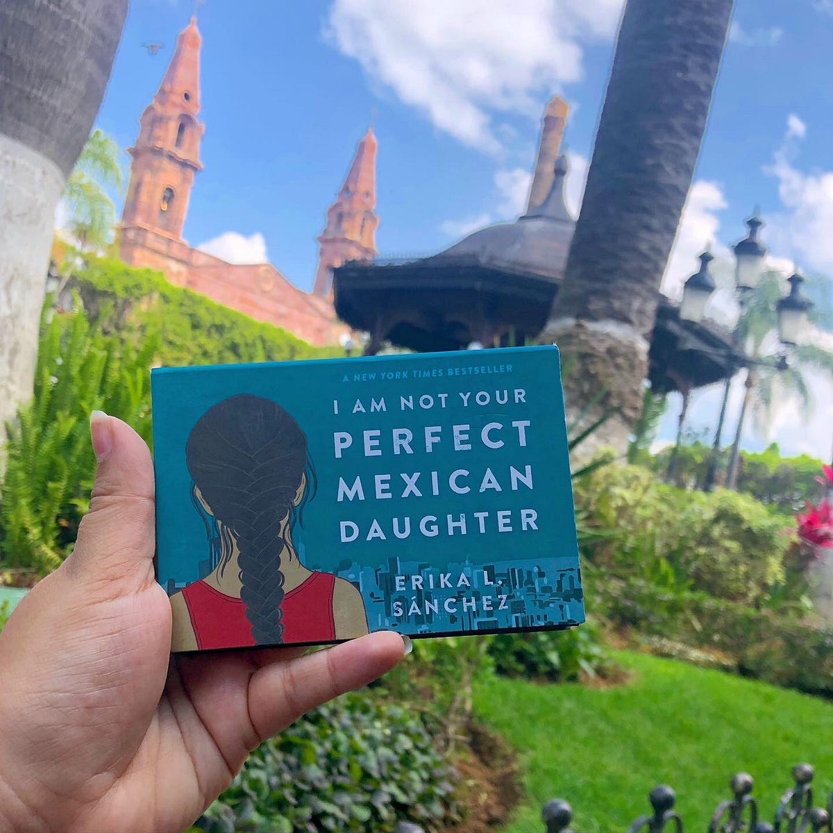 Thinking about Erika L. Sánchez’s I Am Not Your Perfect Mexican ...