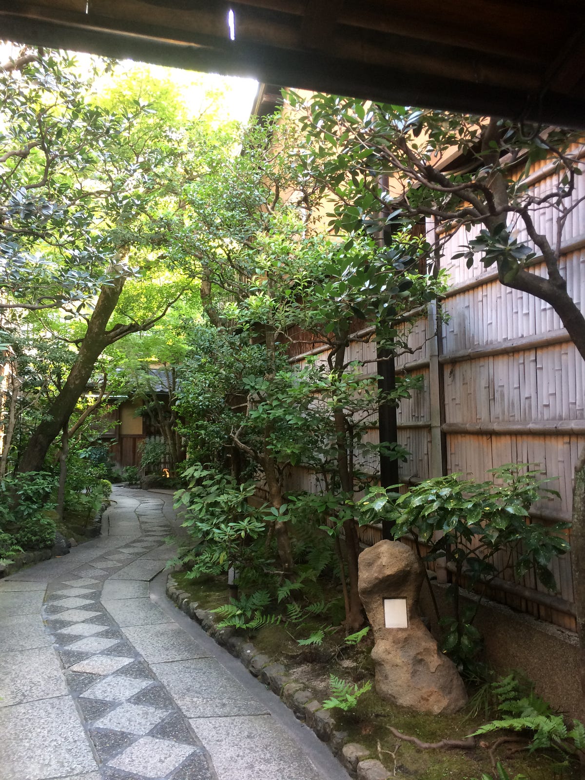 A Haibun For Today. My January challenge | by Thalia Dunn | Paper ...