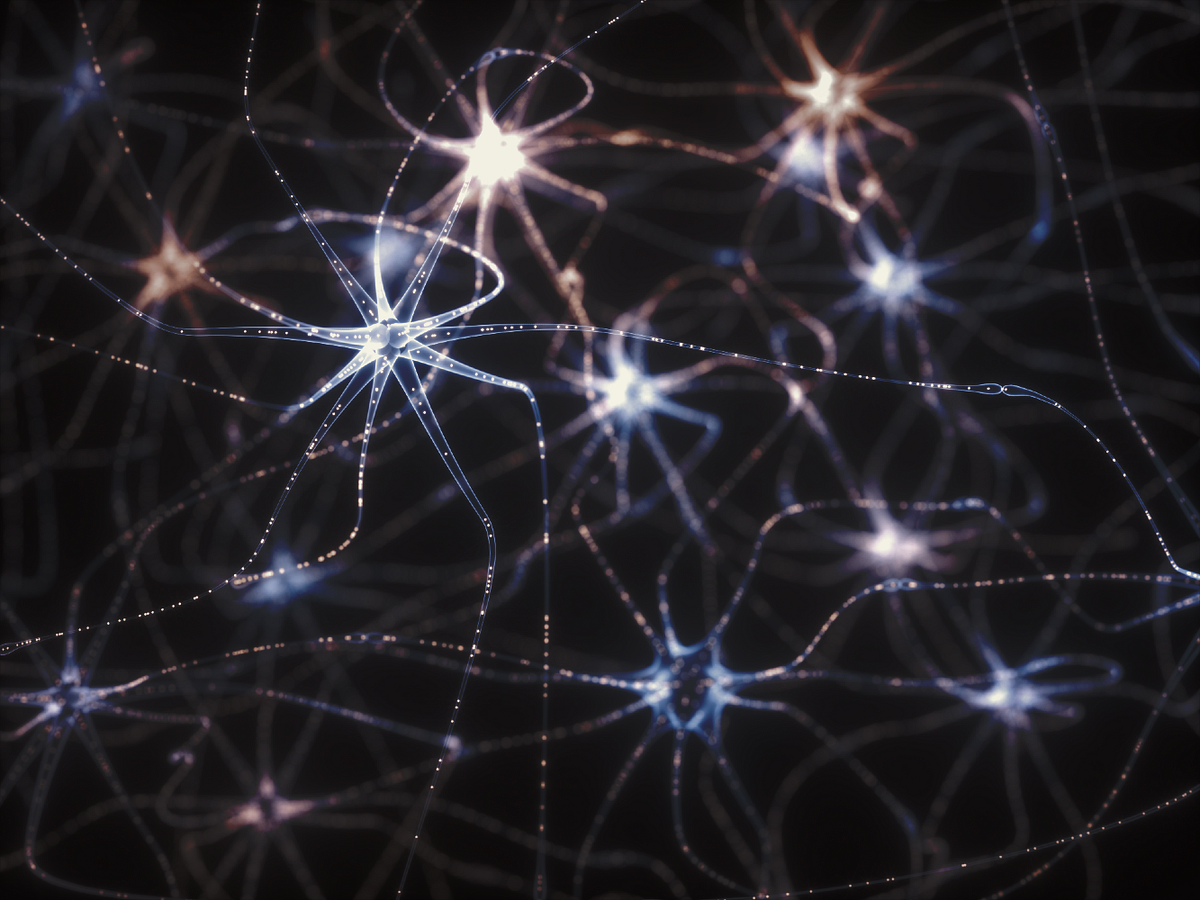 What Does It Look Like Inside A Sentient Ai’s Brain? | Part 1 | by ...