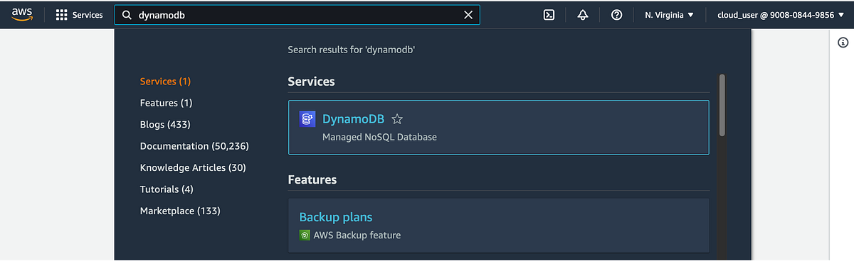 LUIT: EC2, DynamoDB and IAM Role’s Based Permissions | by MoxieCloud | Medium
