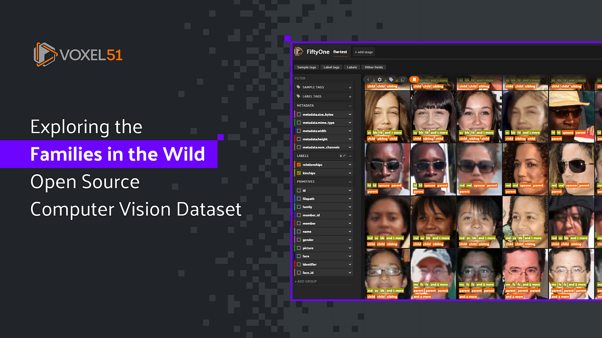 Visual Kinship Recognition with the Families in the Wild Computer Vision Dataset | by Jimmy ...