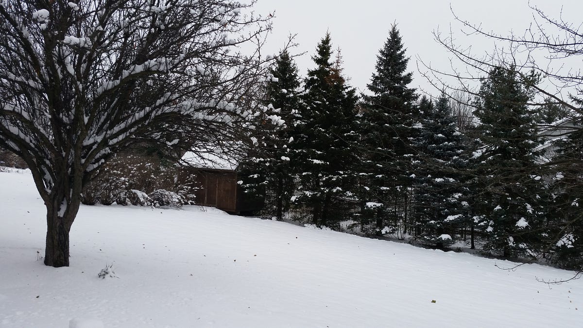 Winter is:. The peace of a quiet snowfall where… | by Kerry Kuhn | Medium
