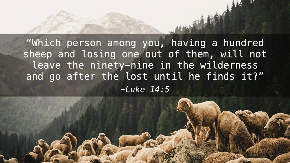 Parable Of The 99 Sheep