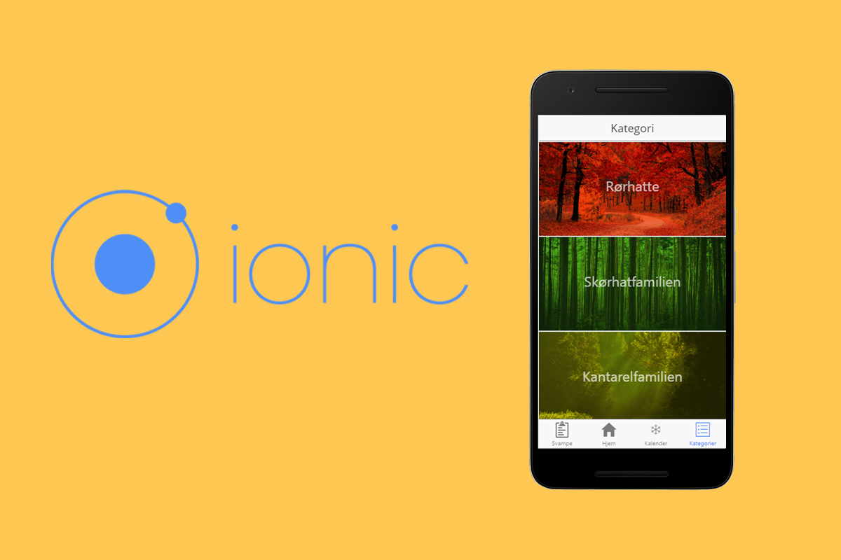 My First Ionic App From Start To Finish | by Kristoffer Andreasen | Medium