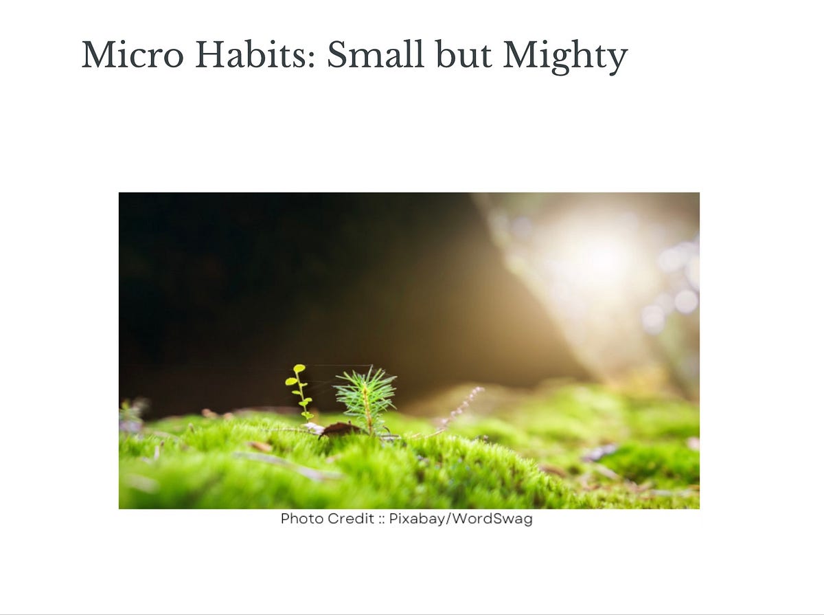 Micro Habits : Small but Mighty. Have you heard about micro habits? I ...
