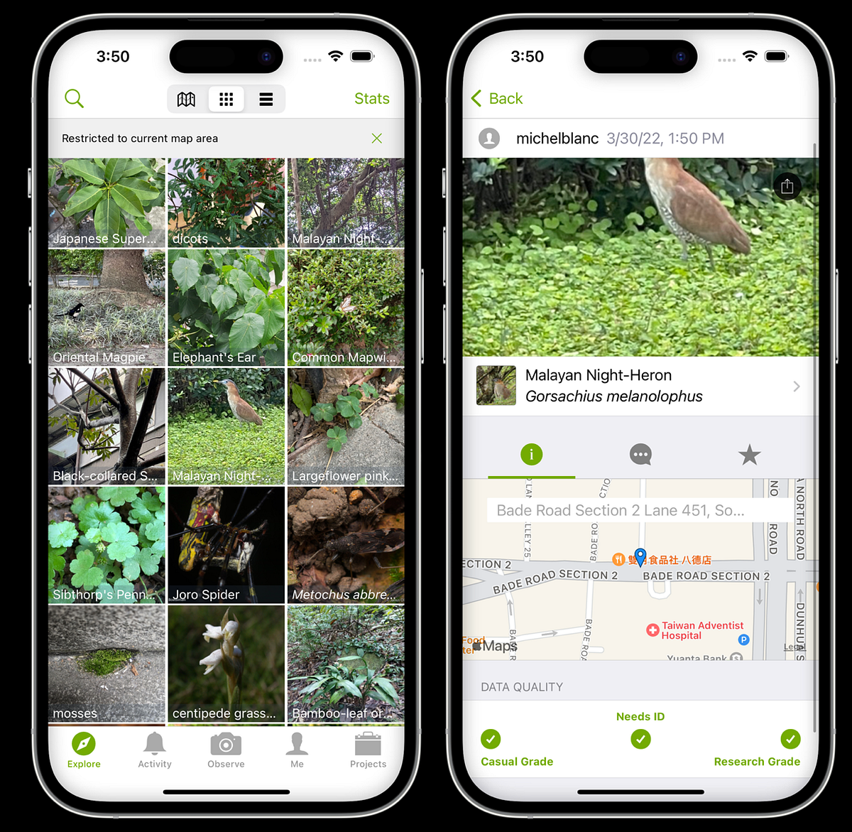 研究生物照片分享 App iNaturalist 的程式和 API | by 彼得潘的 iOS App Neverland | 彼得潘的 Swift iOS App 開發問題解答集 | Jan ...