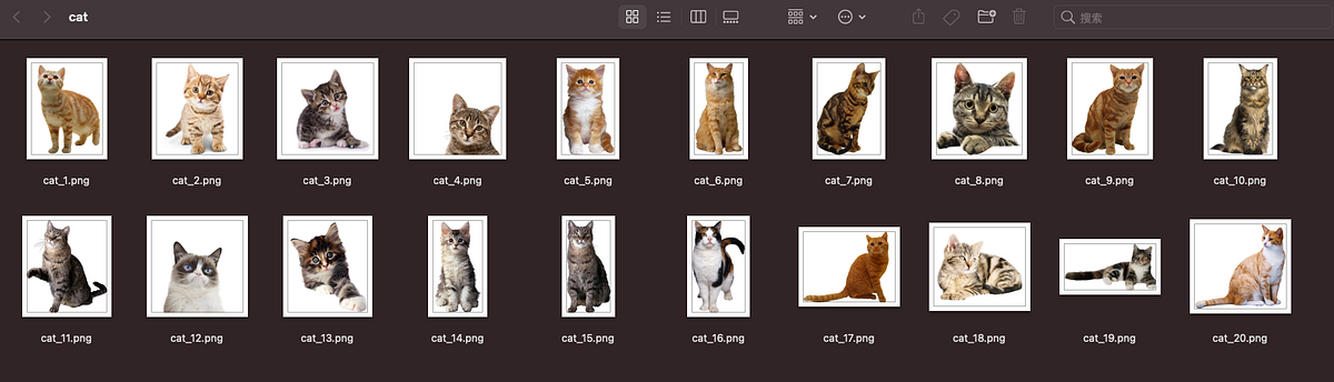 A simple way to collect your deep learning image dataset | by Catch ...