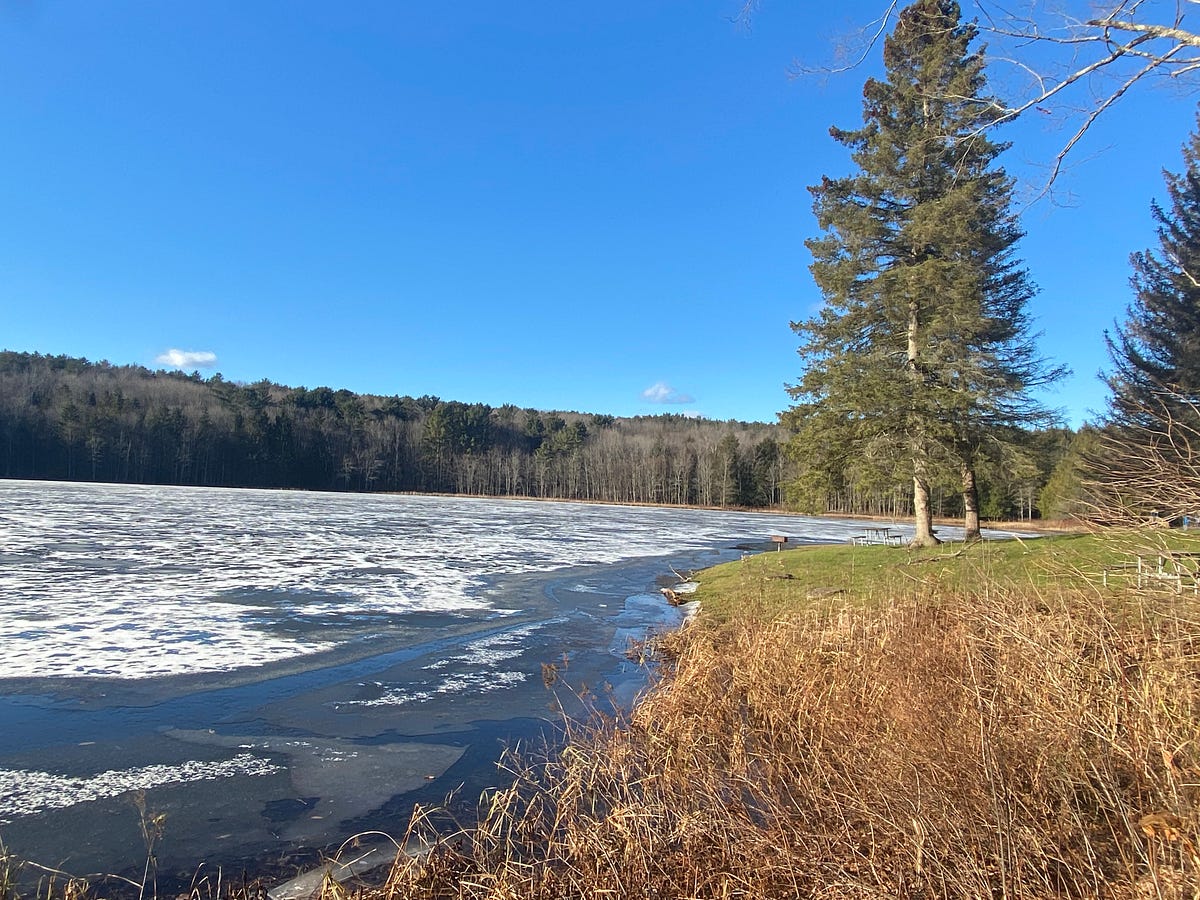 The Road Less Travelled-A Late Fall Hike at Bowman Lake State Park | by ...