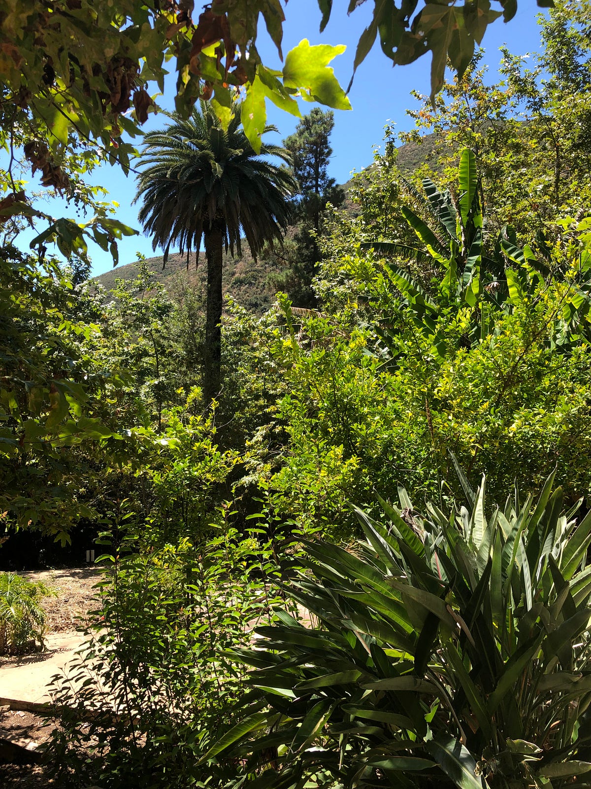 Hidden Los Angeles: Roberts Ranch | by Aisling Carlson | Medium