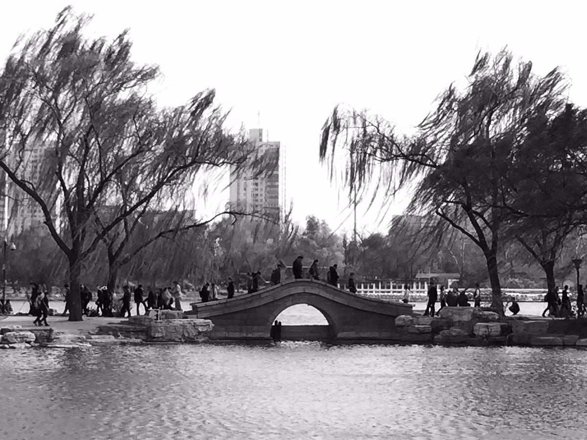 Same Same…but Different. An introductory look into the… | by brian ...