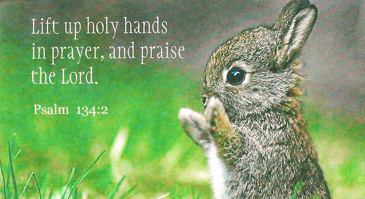 Lift up your hands in the sanctuary, and bless the Lord. - Psalm 134:2 ...