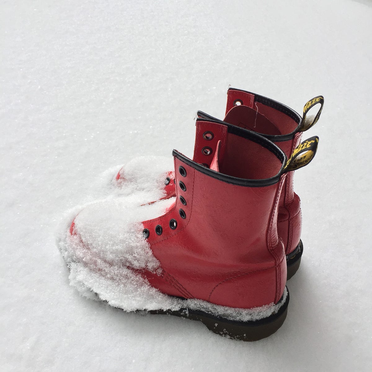 2018/02/09 @ Chicago 天气预报说昨夜有大雪，但雪是今儿大清早才落下来的。和同事说好了今日都不去上班。 下雪的时候世界格外寂静。Le Clézio 在 “The ...