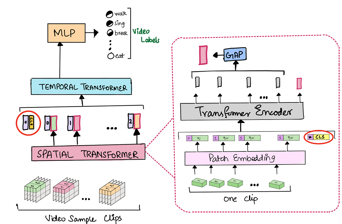 ViViT 📹 Video Vision Transformer | by Momal Ijaz | AIGuys | Medium