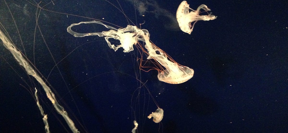 Me and 23 (ish). The secret to my absurdity lies in spit | by Sarah ...