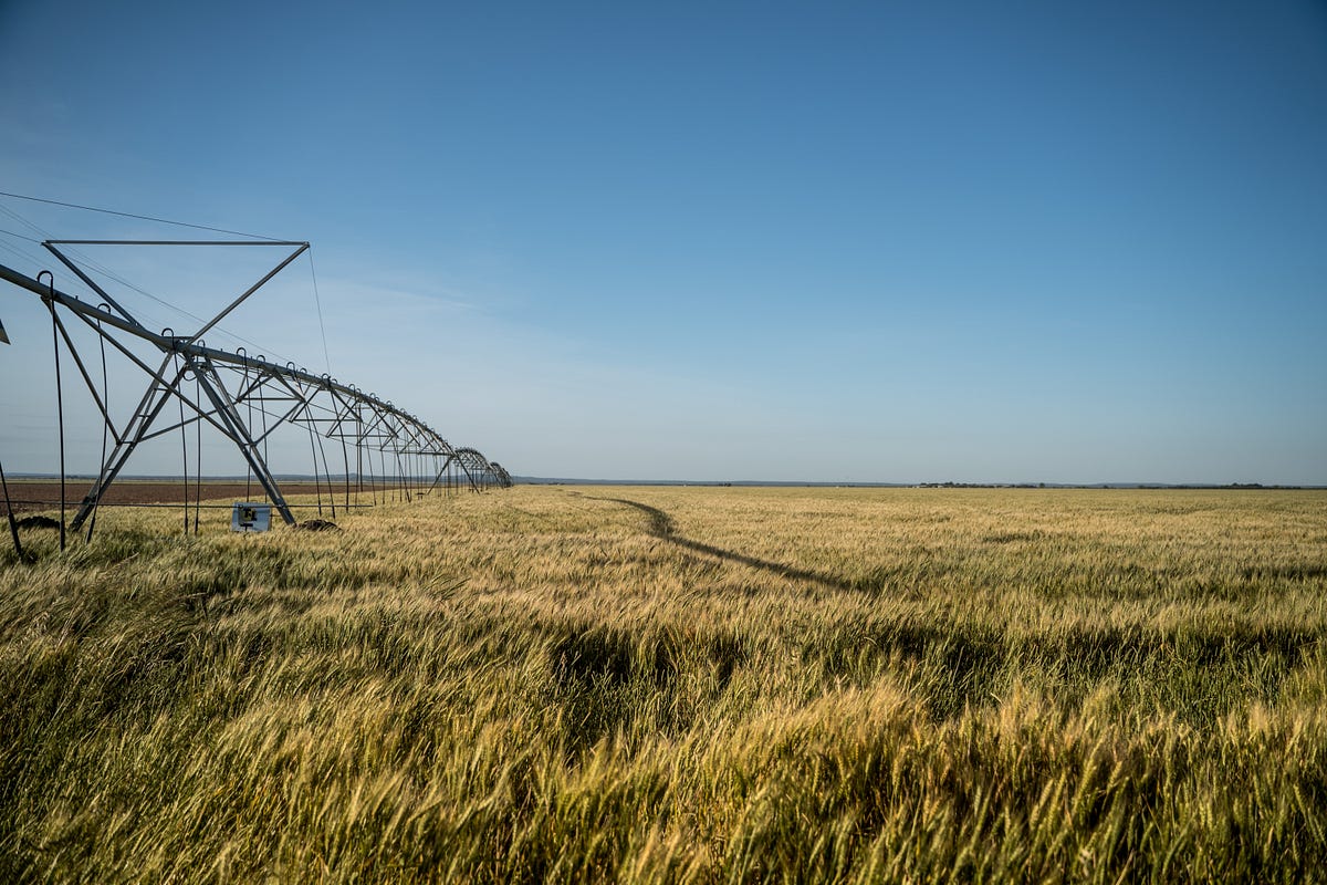 The Types of Irrigation & Why They Matter | by MT | Age of Awareness ...