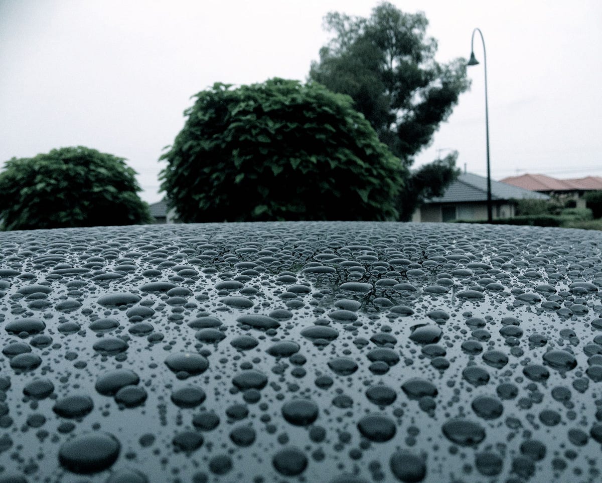 Is water conscious?. Last night I watched this old debate… | by ...