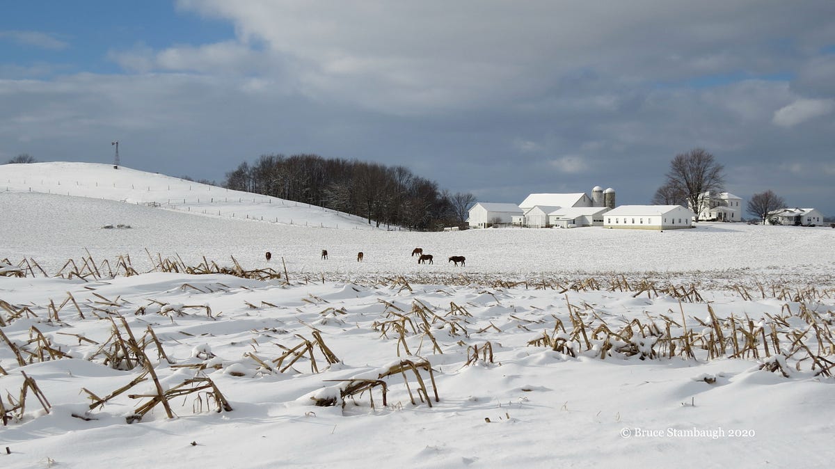Winter is waiting in the wings. With November waning. | by Bruce ...