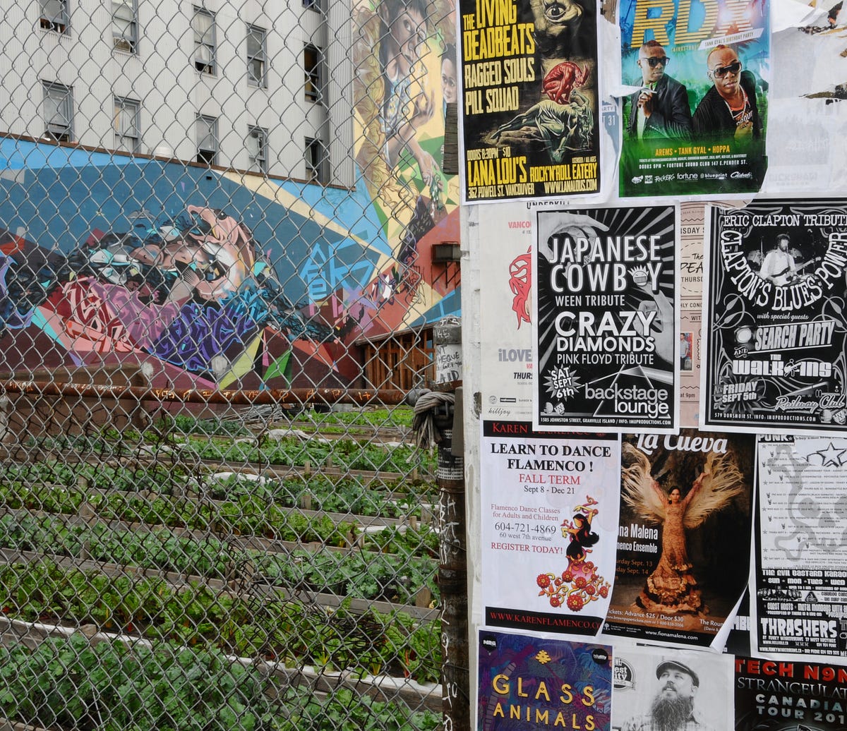 Farming Skid Row. “Food’s the next thing, man!” | by Michael Ableman ...