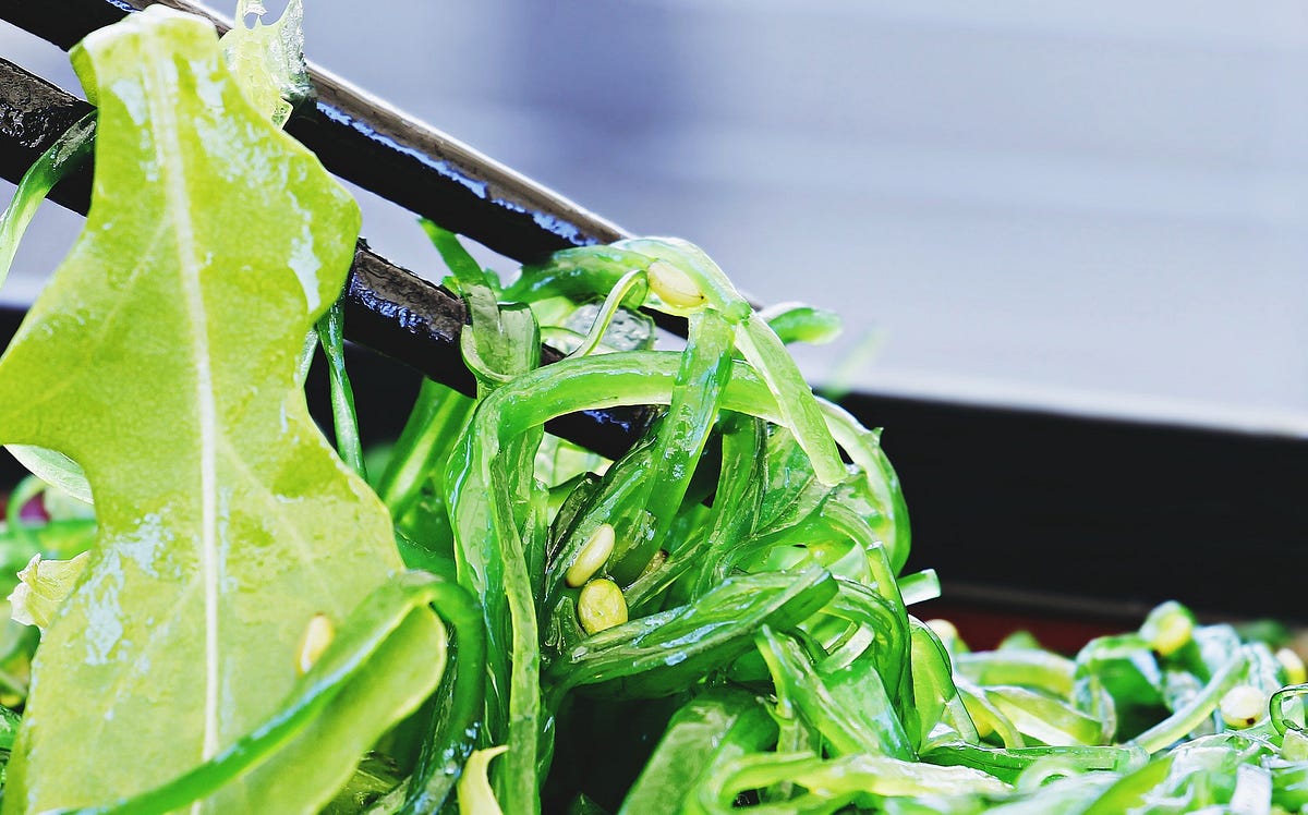 Sea vegetables may be the health food of the future | by Abbey | Food ...
