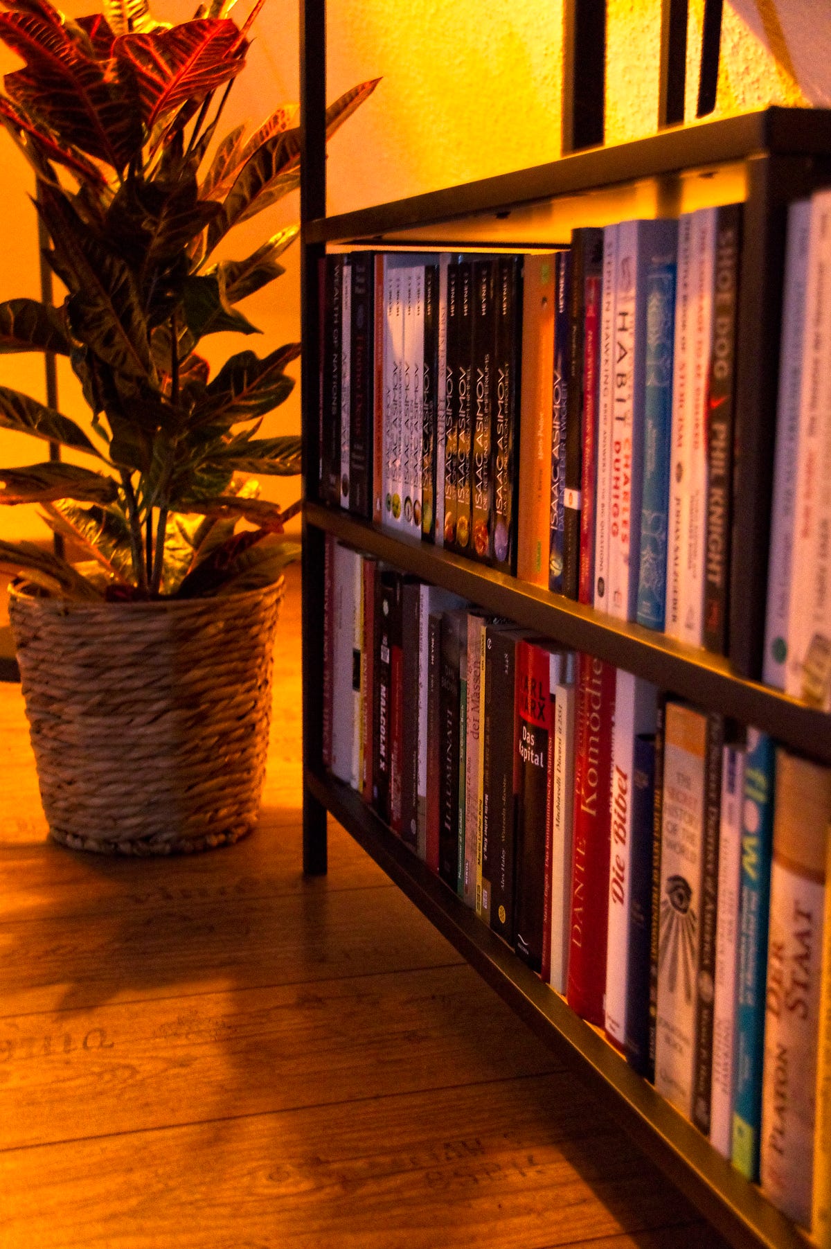 Top 5 Books I’ve Read In 2022. Expand You Reading List For 2023 | by Beyond Boundaries | Beyond ...