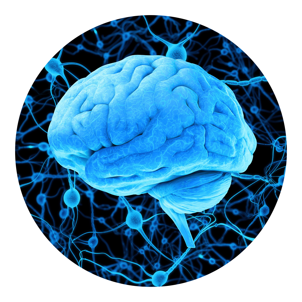 Play These Games To Unlock The Incredible Power Of Your Brain By Iak play-these-games-to-unlock-the-incredible-power-of-your-brain-by-iak
