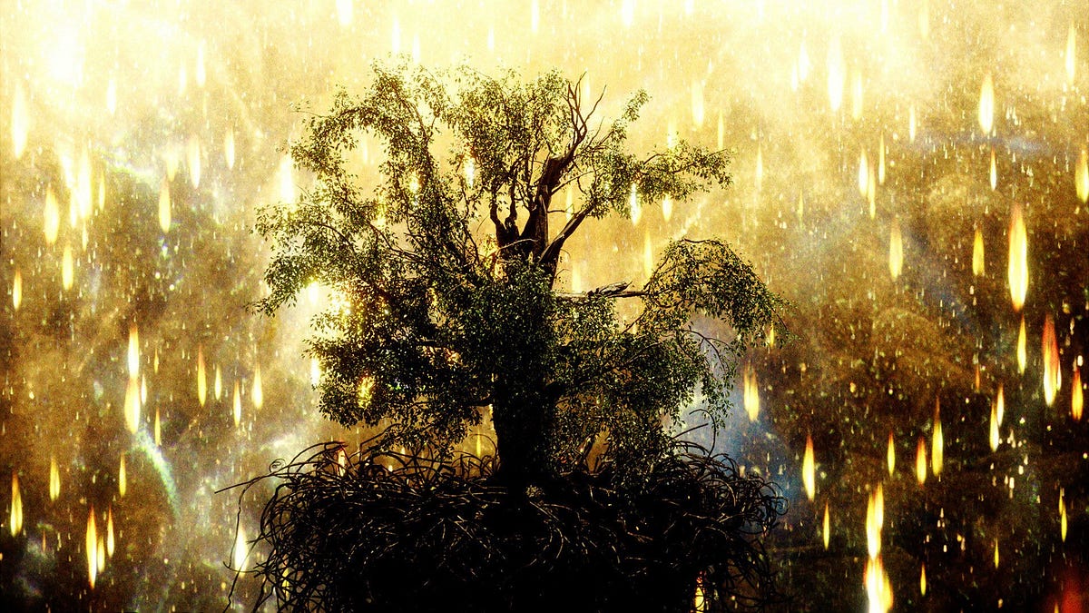 The Tree of Power. A short story co-written with Amira… | by Sanaa A ...