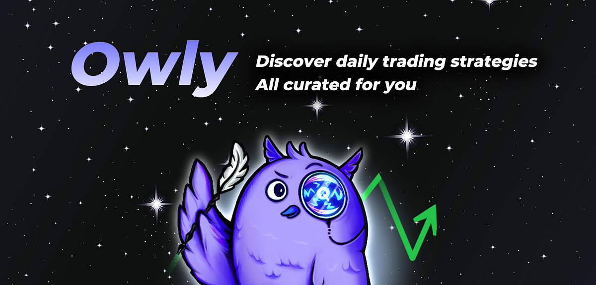 Introducing Owly. Discover daily trading strategies, all… | by Bifrost ...
