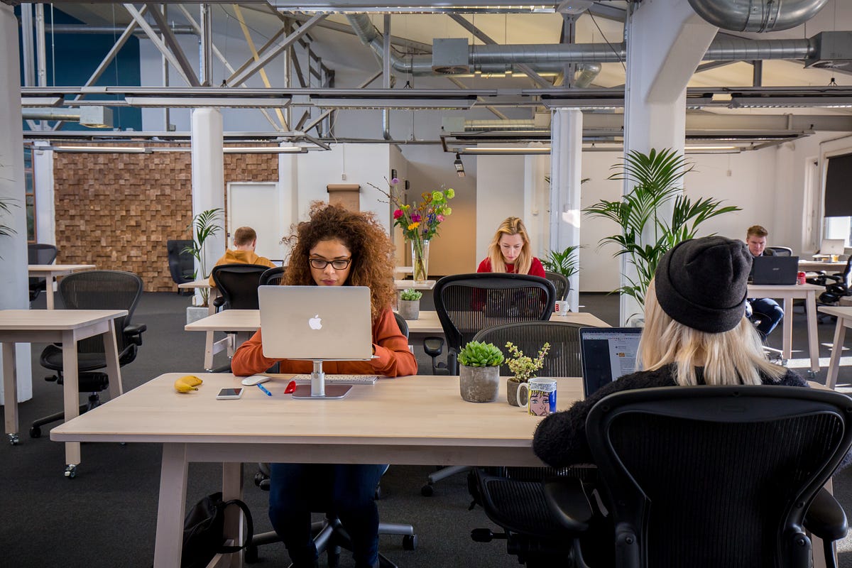Why Shared Office Spaces Work for Tech | by Primalbase Team ...