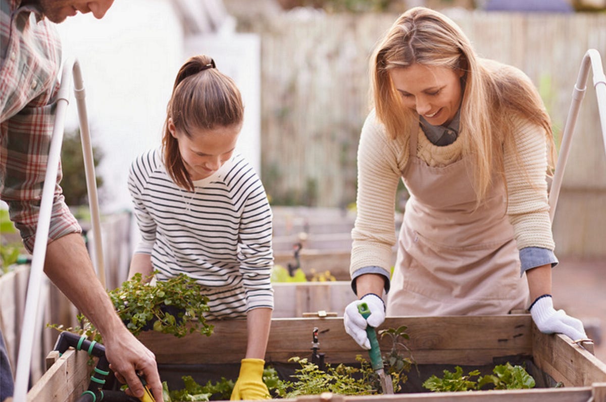15 Easy Ways to Start Living a Greener and Healthier Lifestyle | by ...