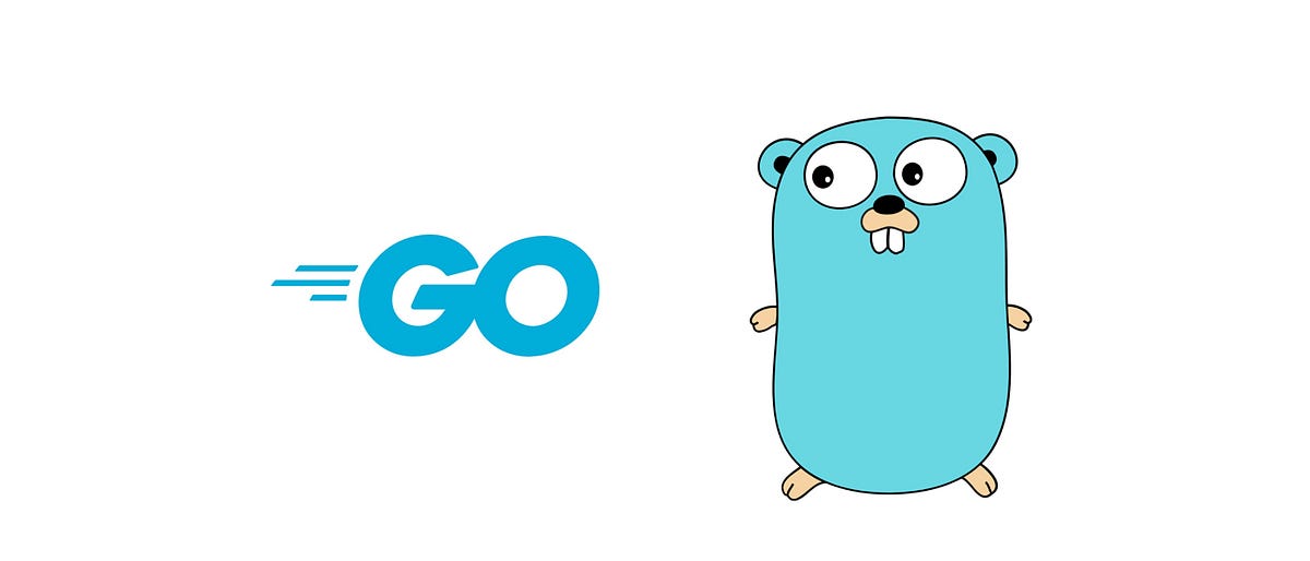 Why Go?. A basic introduction to Golang with… | by Anam Shah ...