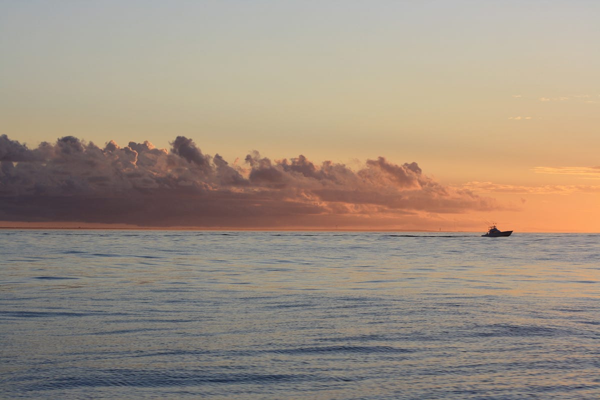 All I could remember.. All I could remember was the skin… | by Forest ...