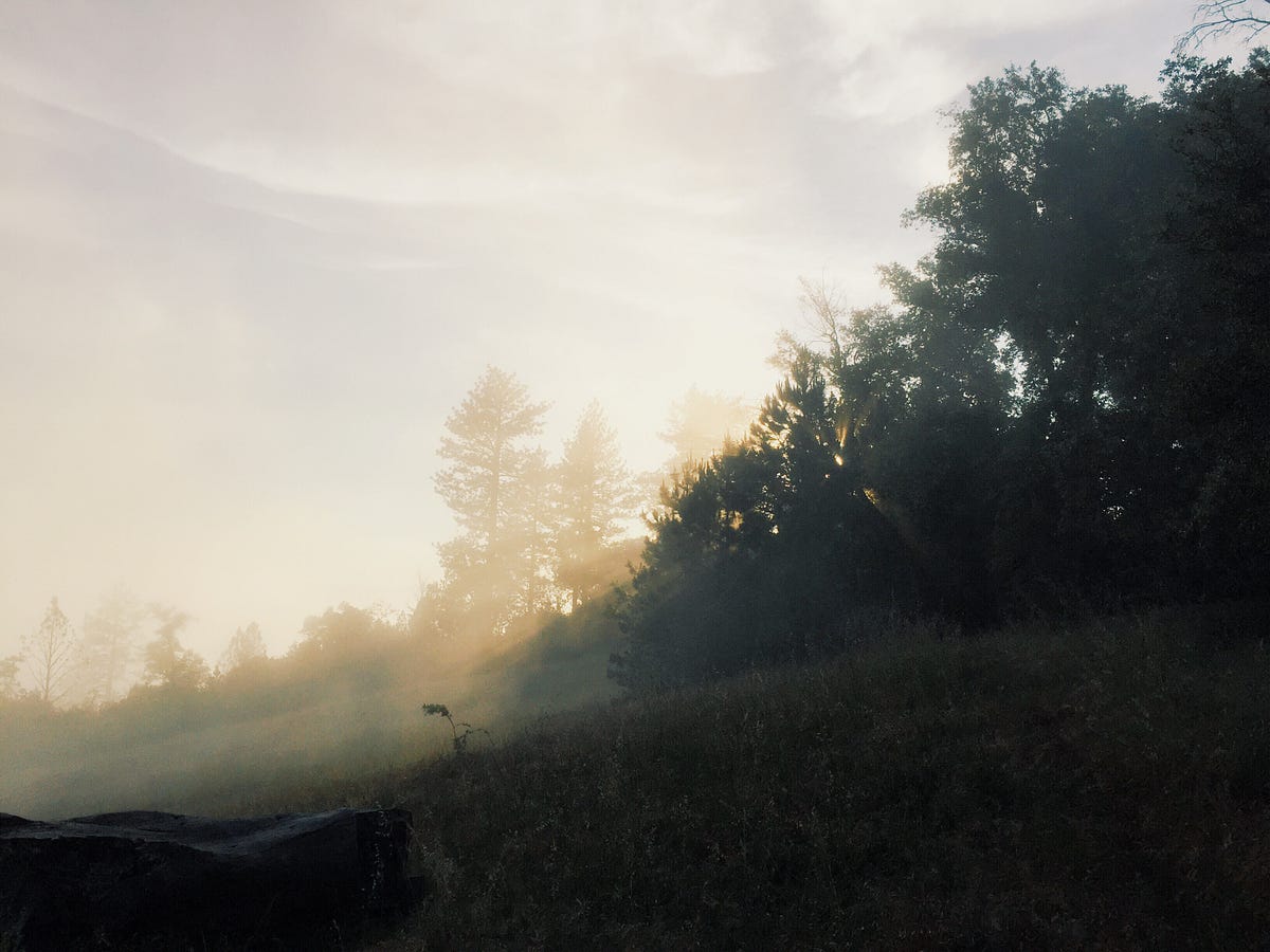 On Stress: Darkness is the Absence of Light | by Casey Wojtalewicz | Medium