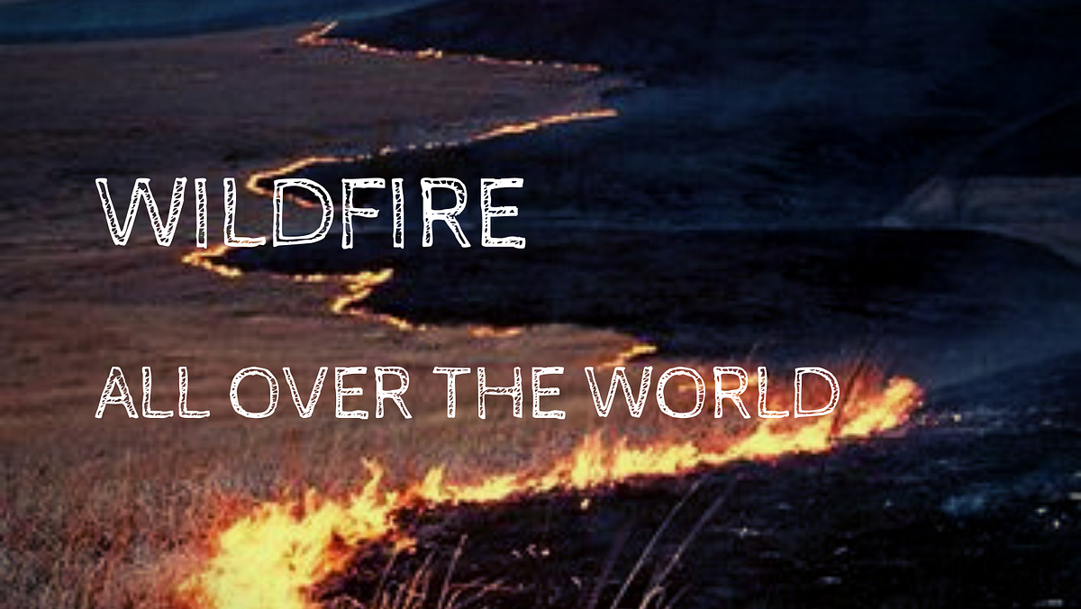 THE FUTURE according to WILDFIRE EXPERTS. | by Sehrish Shabbir | Sep ...