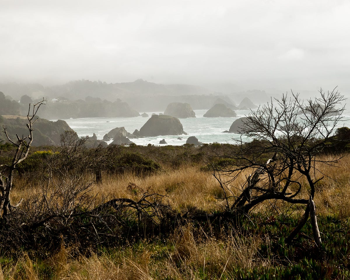 The Mystery of Cuffey’s Cove. Inspiration for a Novel | by Keith ...