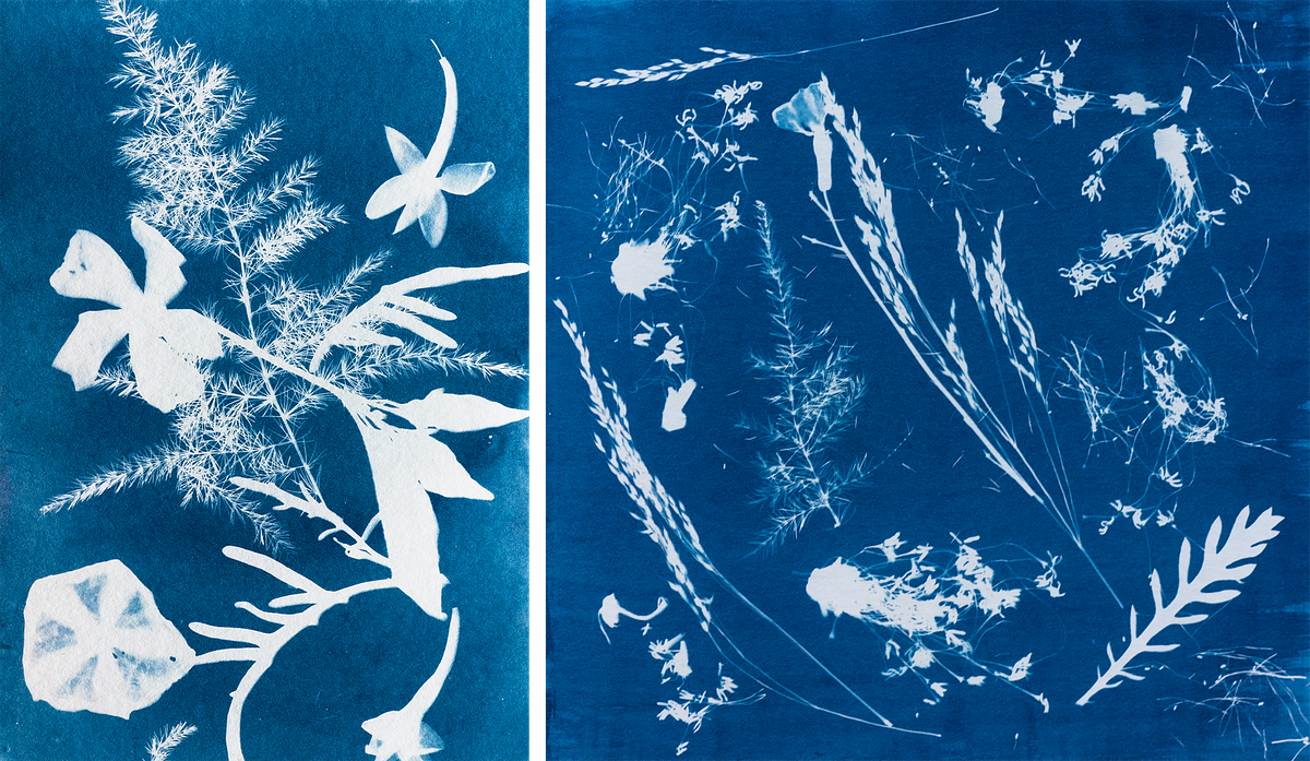 Cyanotype offers a world of possibilities to experiment compositions ...