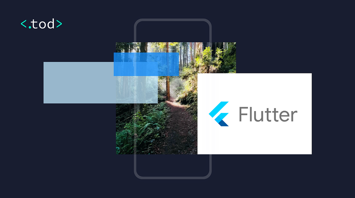 Flutter essentials: get started with great libraries | by Enrico Ori ...