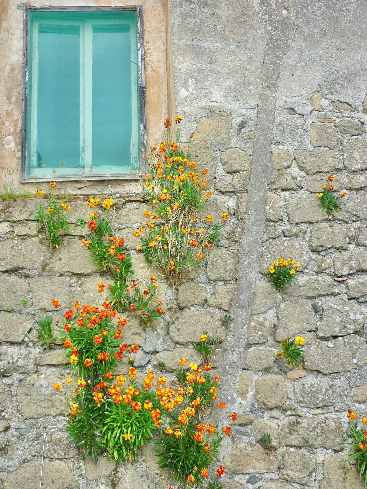 The Value And Necessity Of Building Up Resilience In Life By Rebecca the-value-and-necessity-of-building-up-resilience-in-life-by-rebecca