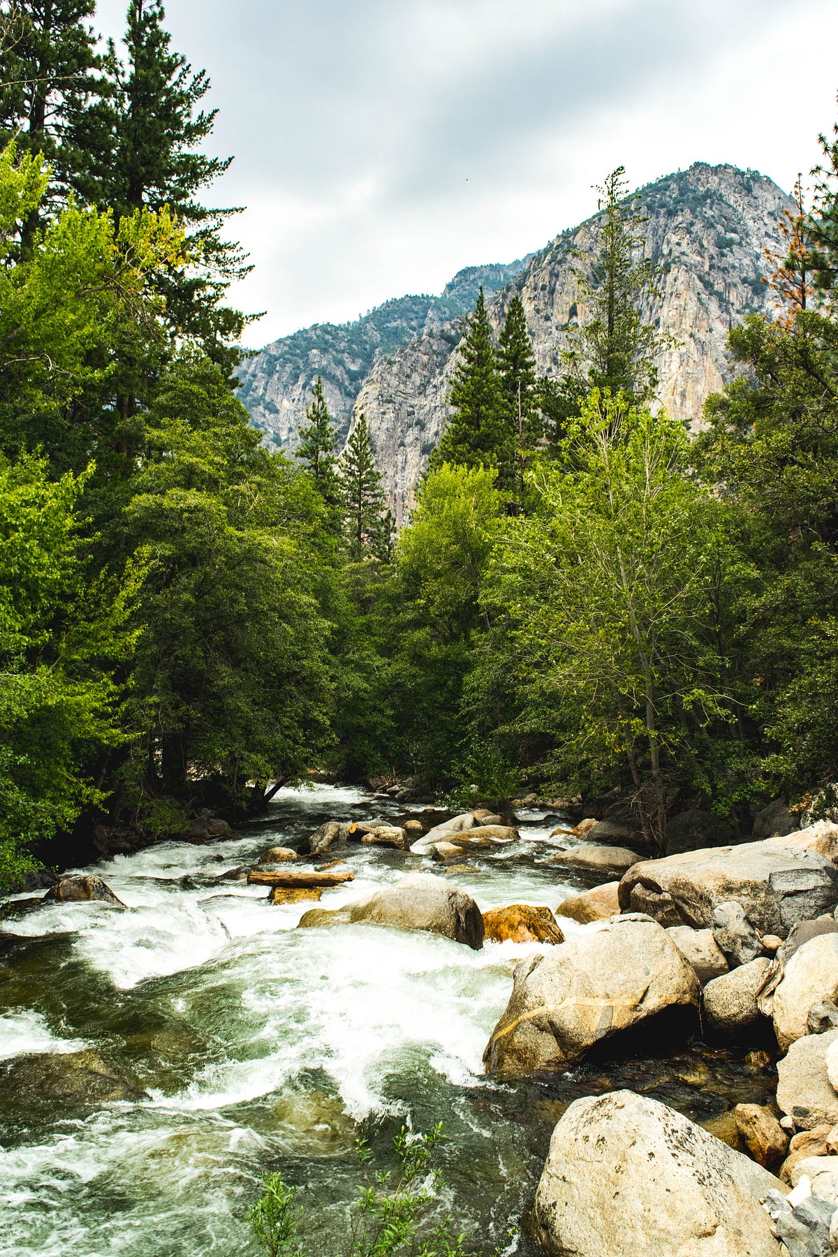The Flow of Life…. A small poem. | by Ashwin | ILLUMINATION | Medium