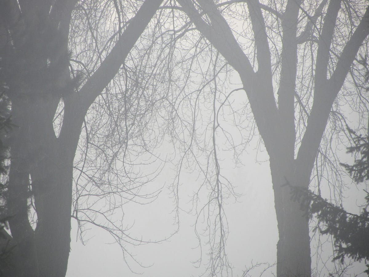Looking at Landscapes Through the Mist | by Louise Peacock | SNAPSHOTS ...