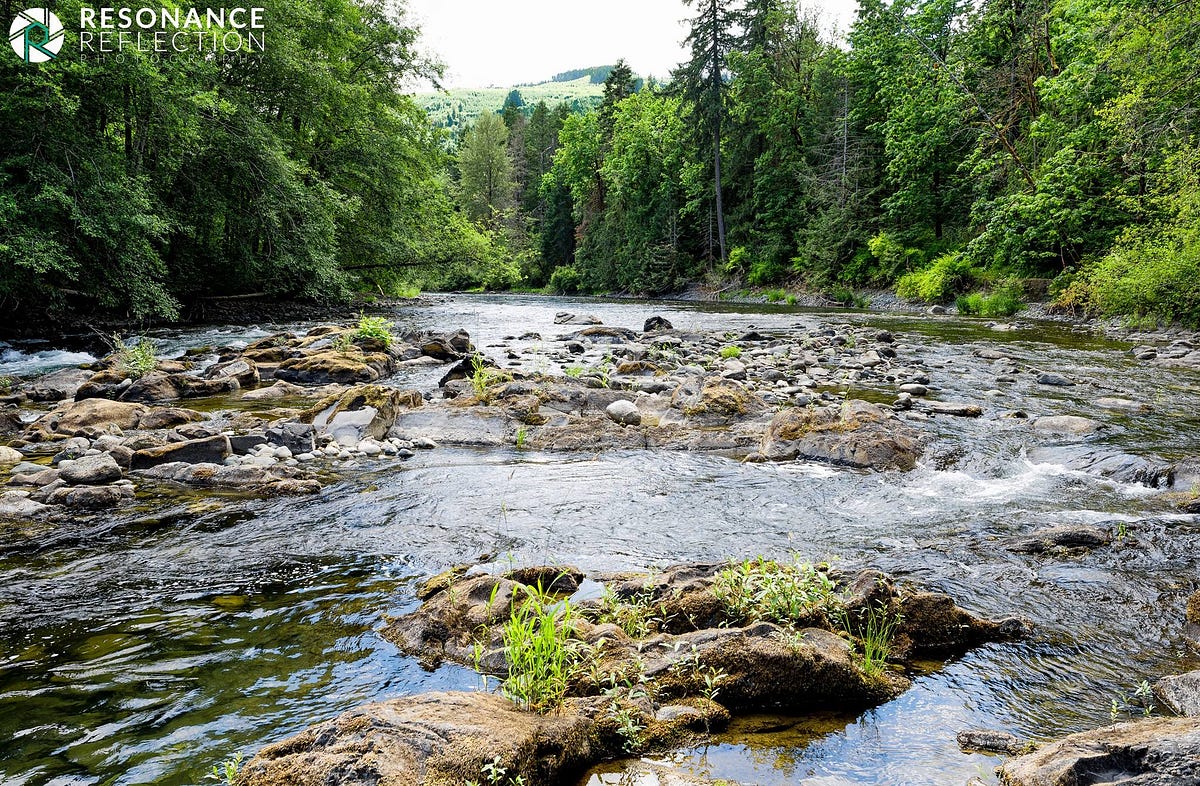 Photograph Of The Day: 8/6/17. Location: Cowichan River. Vancouver ...