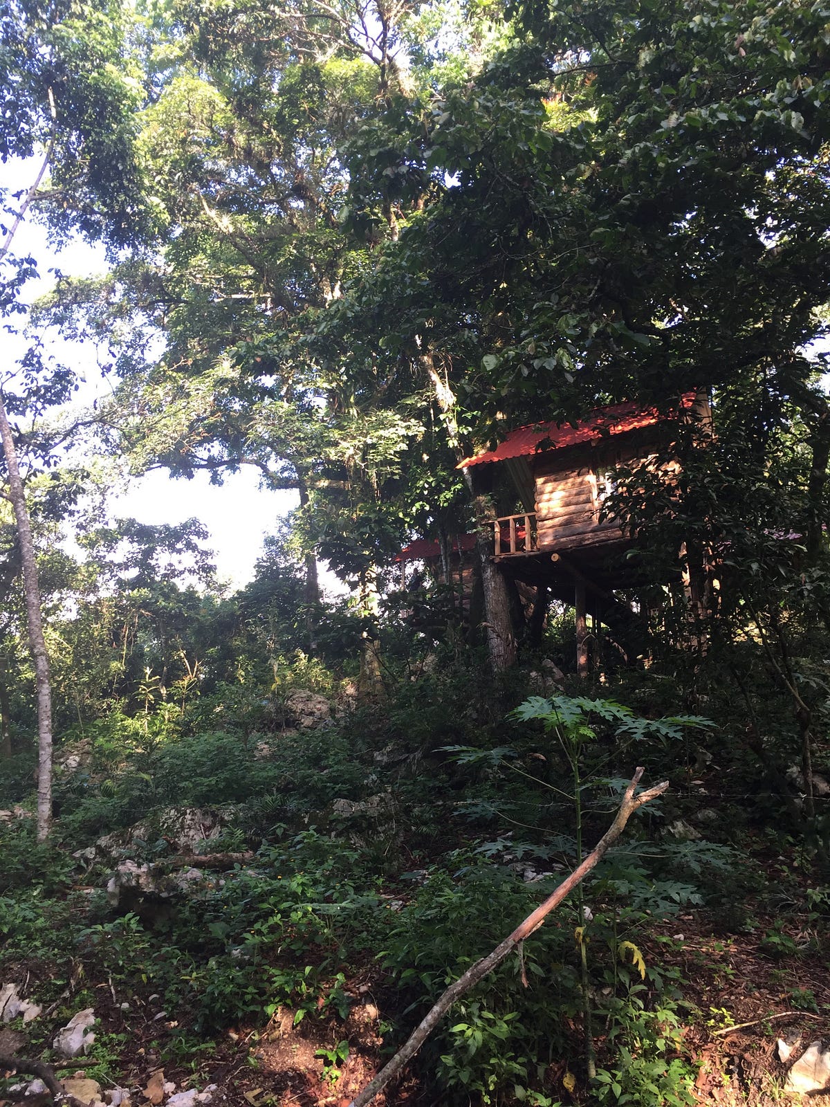 Our Treehouse in the Mexican Jungle | by Jessica Jungton | Medium