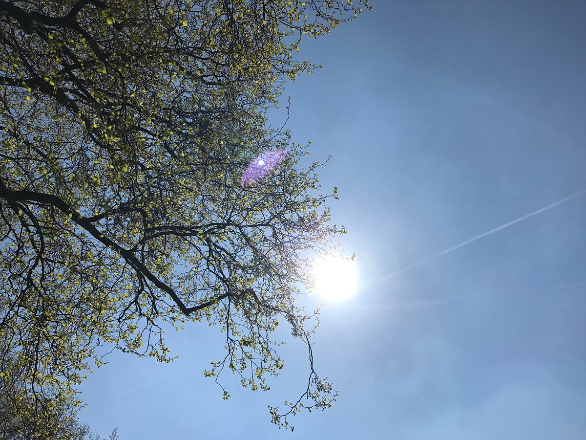 it-s-been-958-days-958-days-ago-i-wrote-my-last-blogpost-by-nico