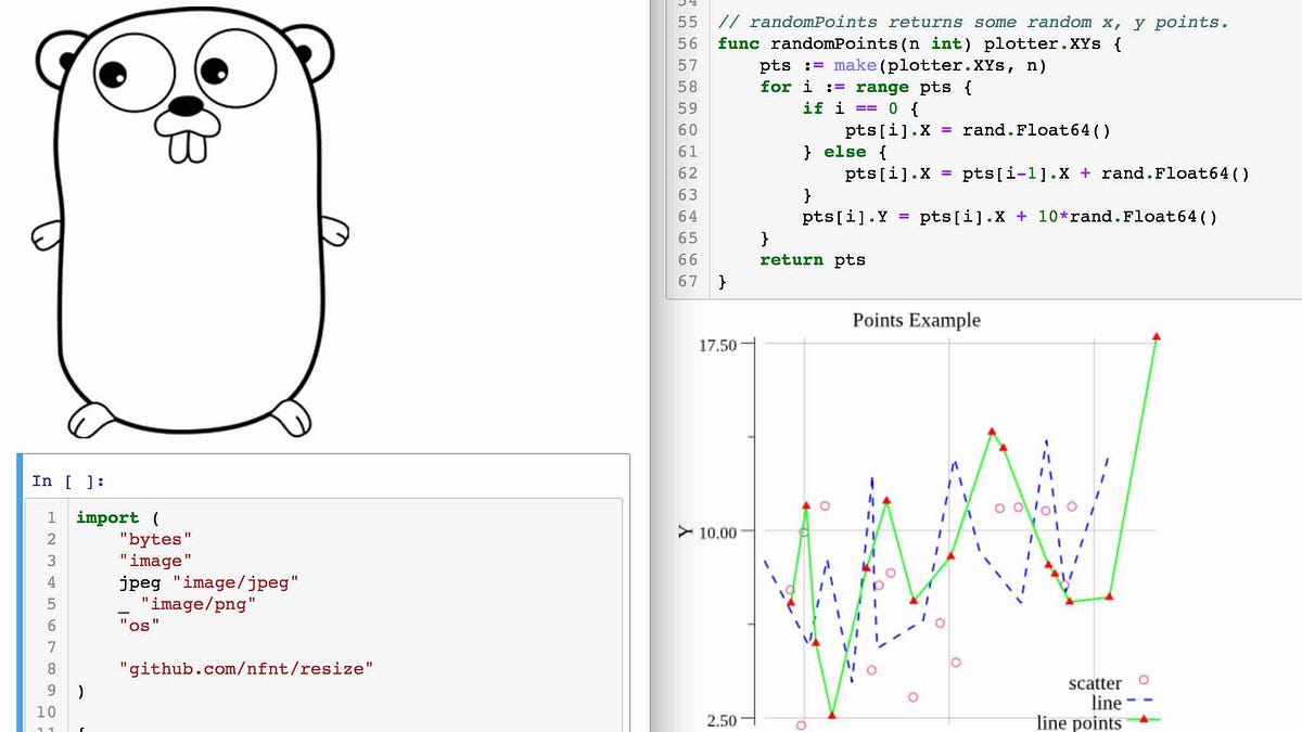 Interactive Go programming with Jupyter | by Yu Watanabe | Medium