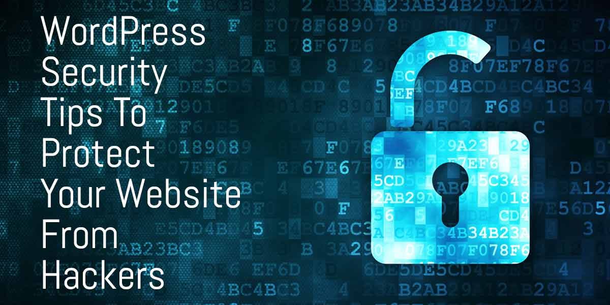 How To Protect Your Website From Hackers | by Embrane | Medium